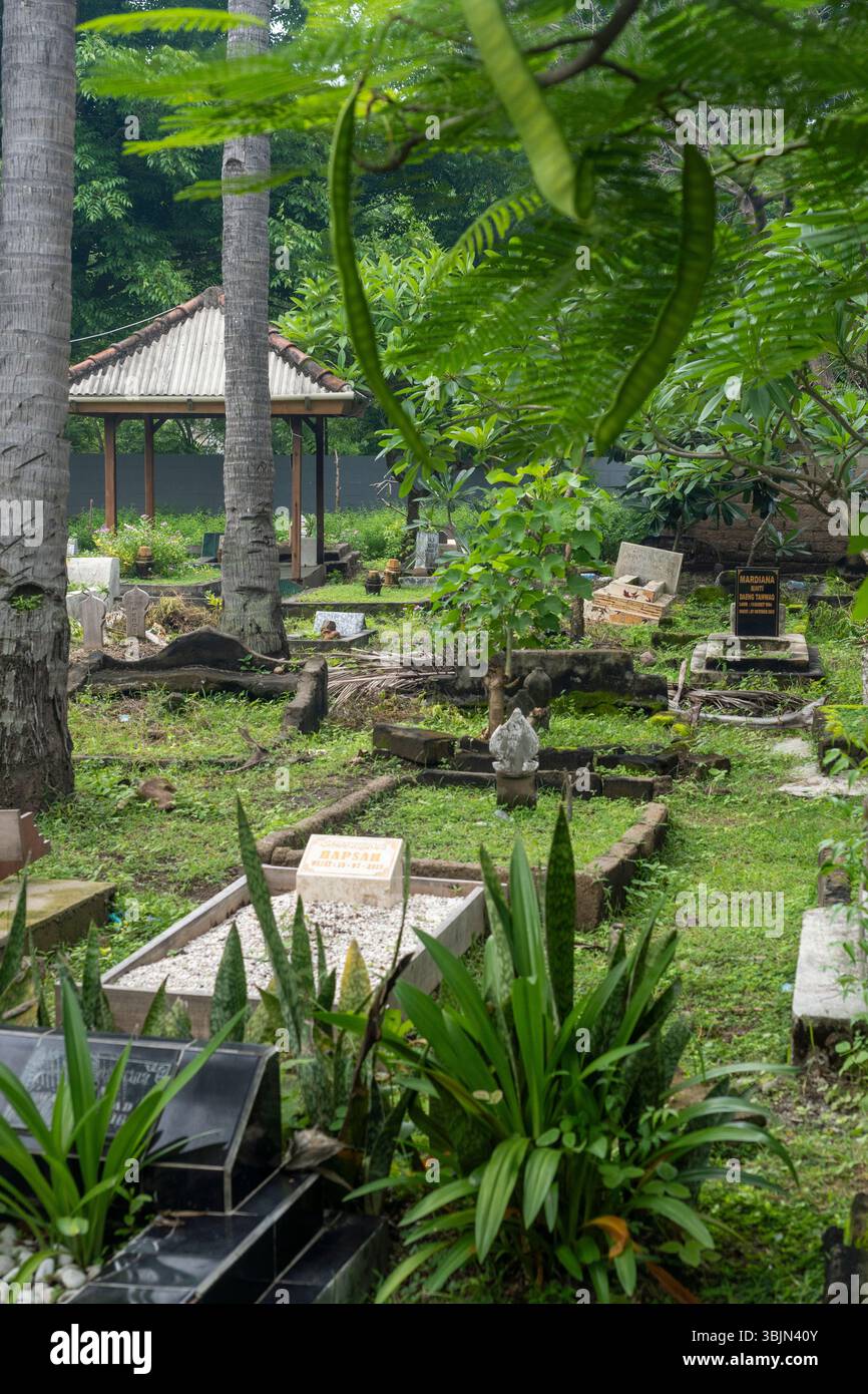 Gili Trawangan, Indonesia - Jan 9, 2025: Cemetery with a few graves and ...