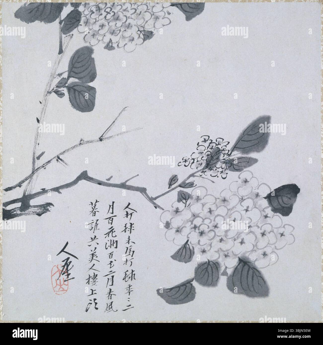 Zhu Da’s 'Branch of Hydrangea' showcases the artist’s skill in floral ...