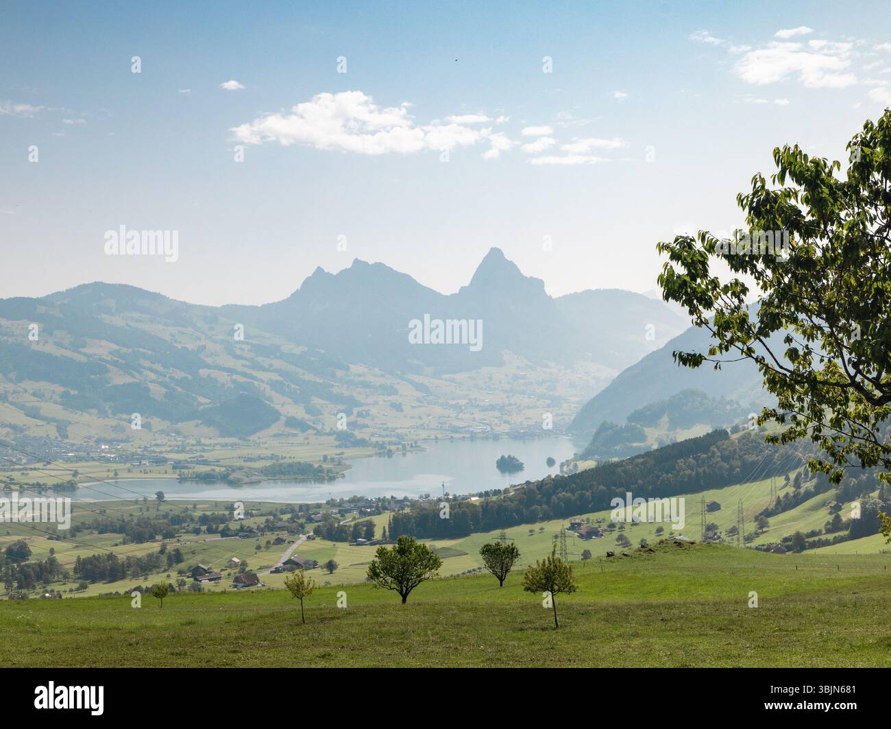 Lake Lauerzersee in Central Switzerland on a beautiful summer day Stock ...