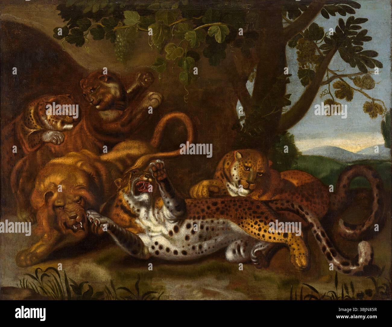 Carl Borromäus Ruthart’s *Tiger, Lion, and Leopards* depicts wild cats ...