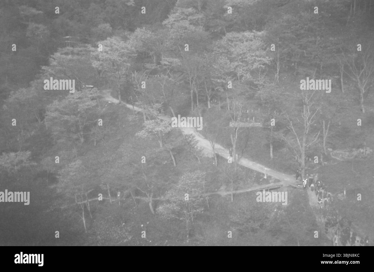 Vintage photo of Mount Yoshino's Thousand Cherry Blossoms in Nara ...