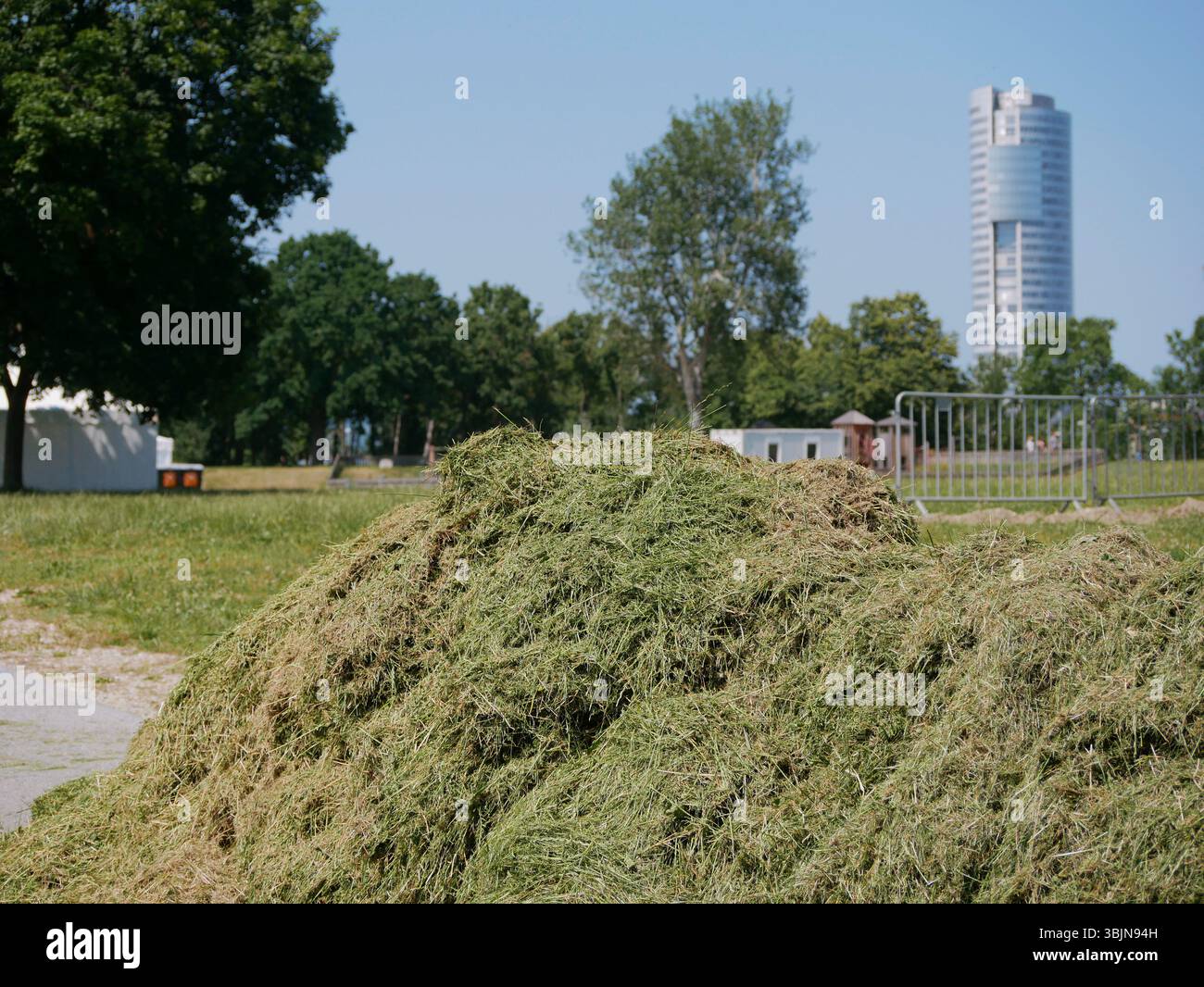 Pile mown lawn grass hi-res stock photography and images - Alamy