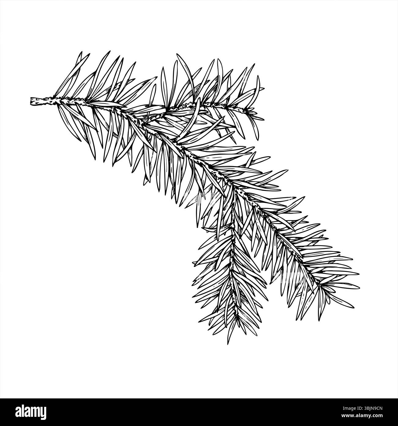 Festive decorations vector vectors Black and White Stock Photos ...