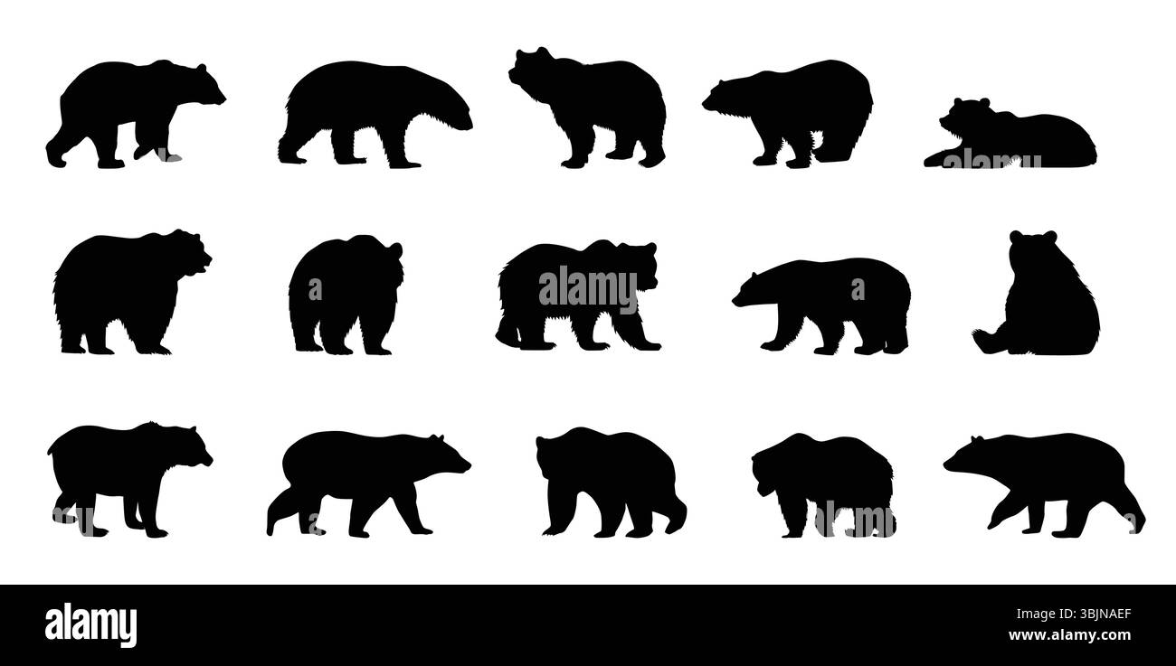 Bear on white isolated Black and White Stock Photos & Images - Alamy