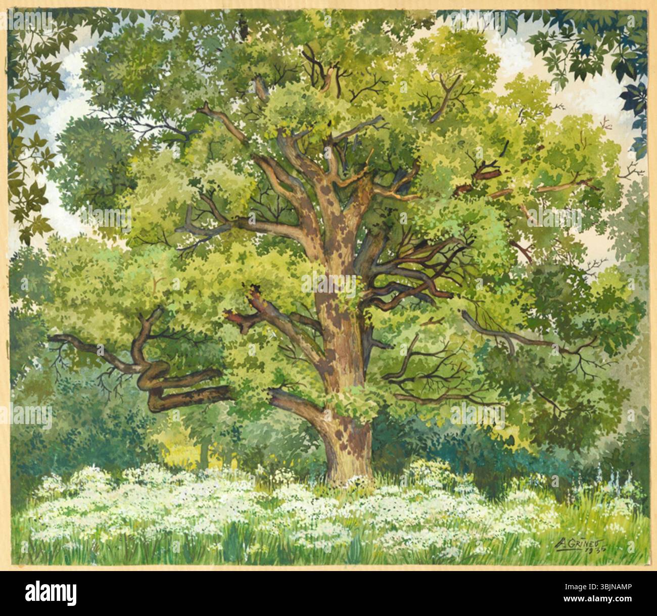 'Maastik tammega' (Landscape with Oak) by Aleksander Grinev, painted in ...