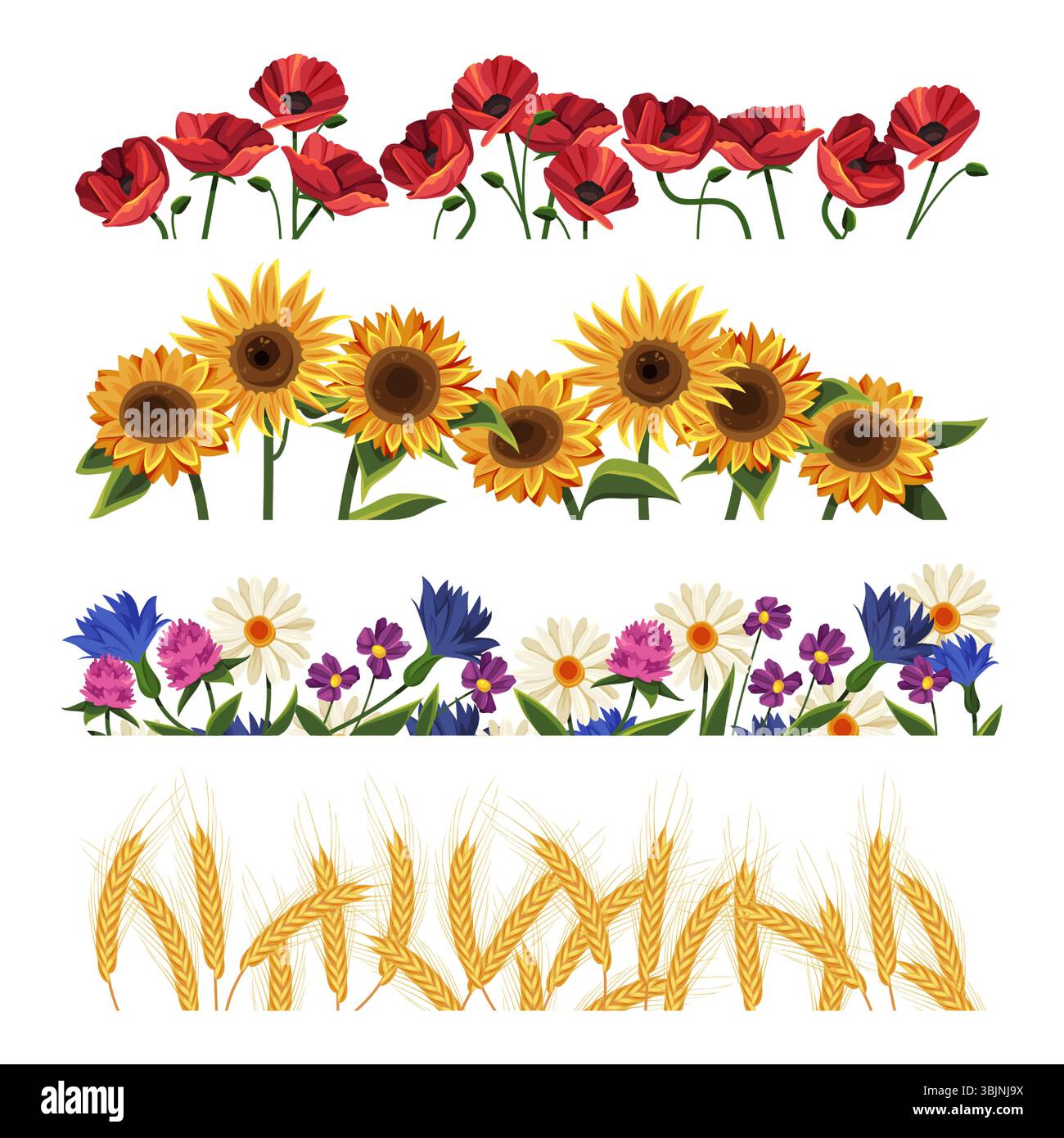 Papaver border Stock Vector Images - Alamy