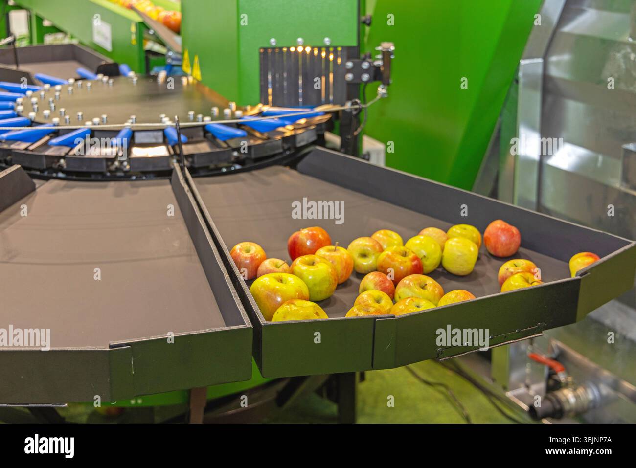 Automated machine electronic weight grading hi-res stock photography and images - Alamy