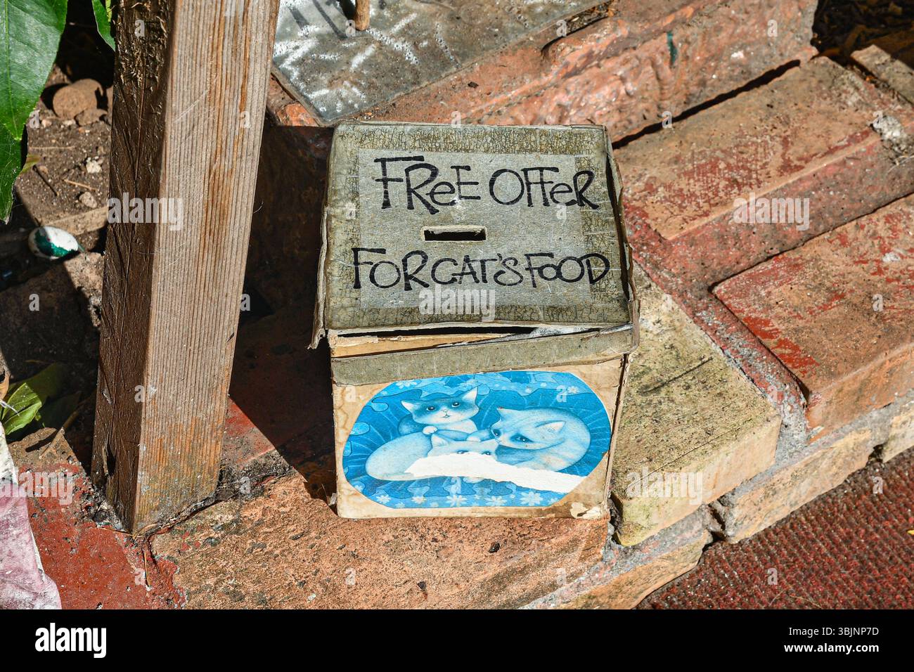 Cardboard alms box hi-res stock photography and images - Alamy