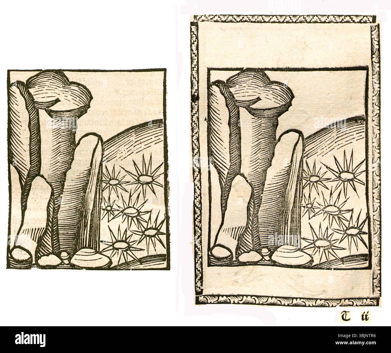 Illustration from 1497–1500 showing a star-shaped cannon, known as ...