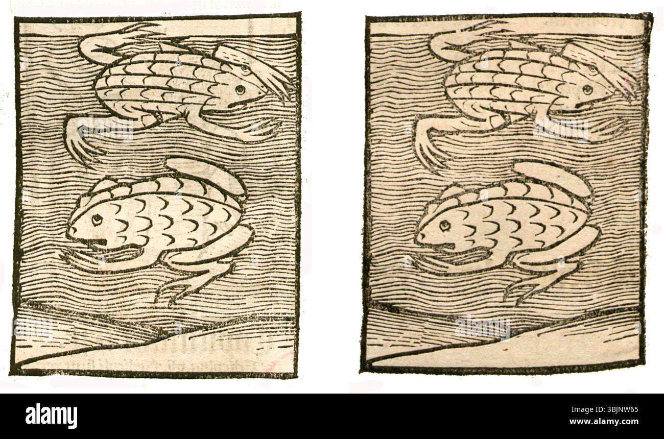 This late 15th-century German illustration depicts a member of the ...