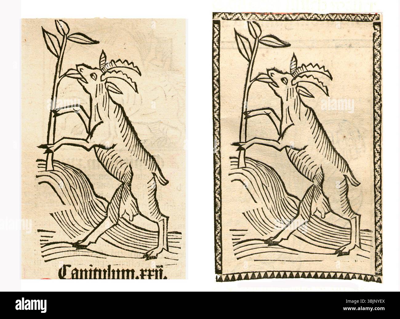 This illustration from a 15th-century German text shows Capra, the ...