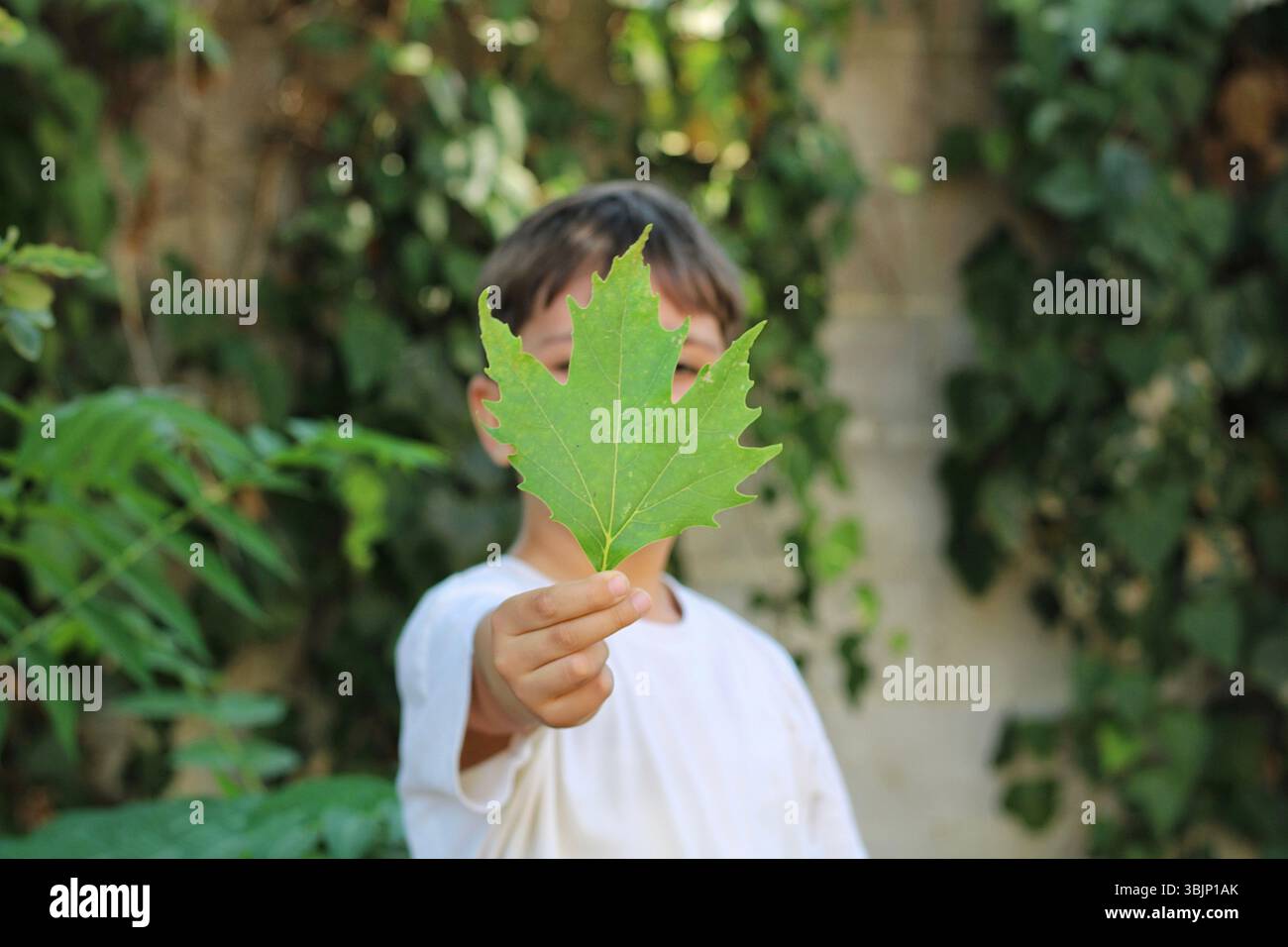 Child holding a green leaf in front of their face outdoors, symbolizing ...