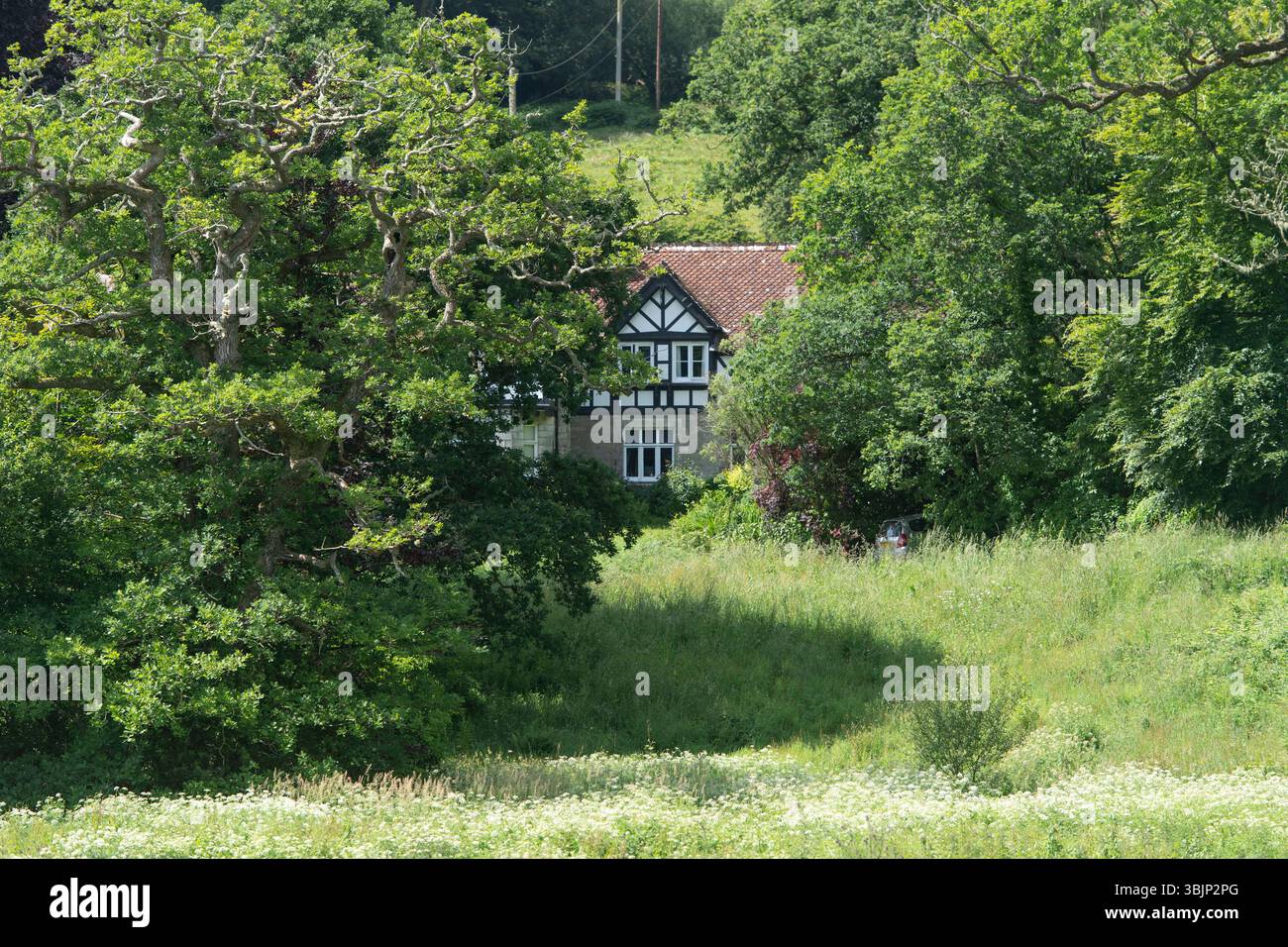cute country cottage in woodland clearing Stock Photo - Alamy