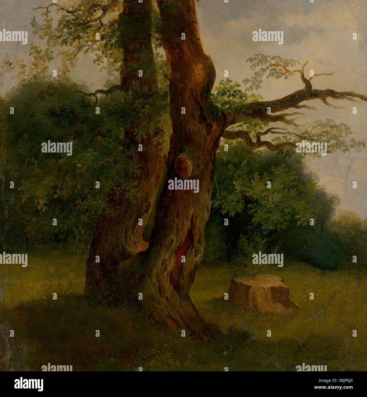 Jozef Boetech Klemens’s 'Study of a Leafy Tree' (1860) is an oil on ...