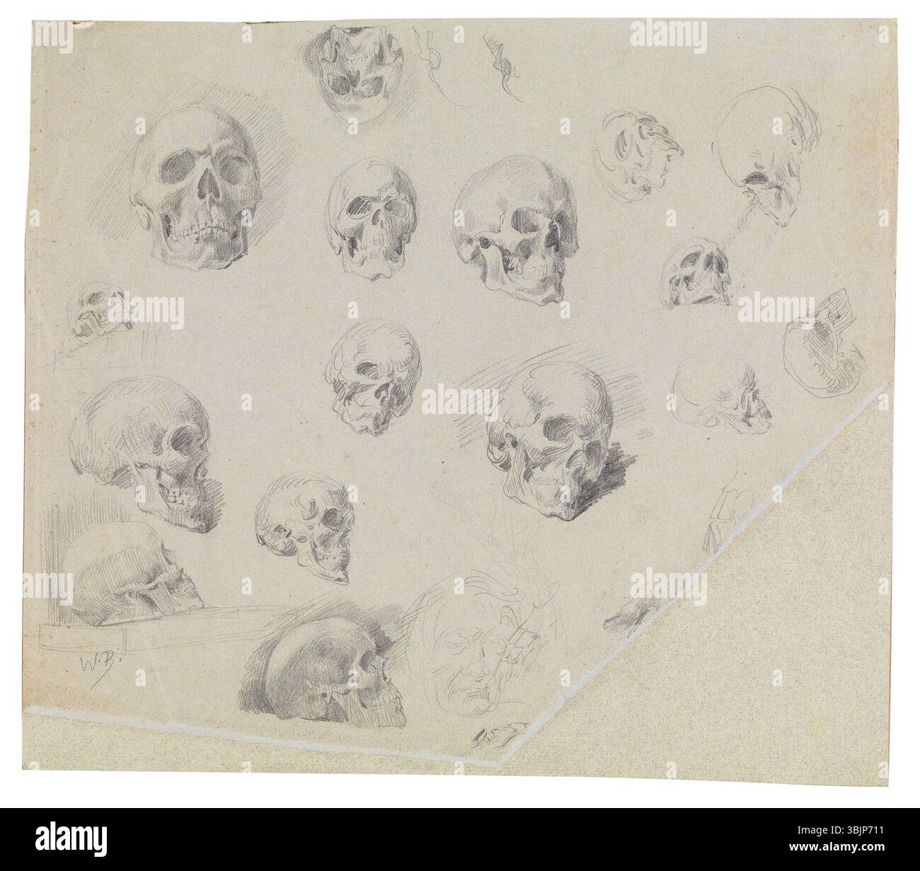 Busch series Cut Out Stock Images & Pictures - Alamy