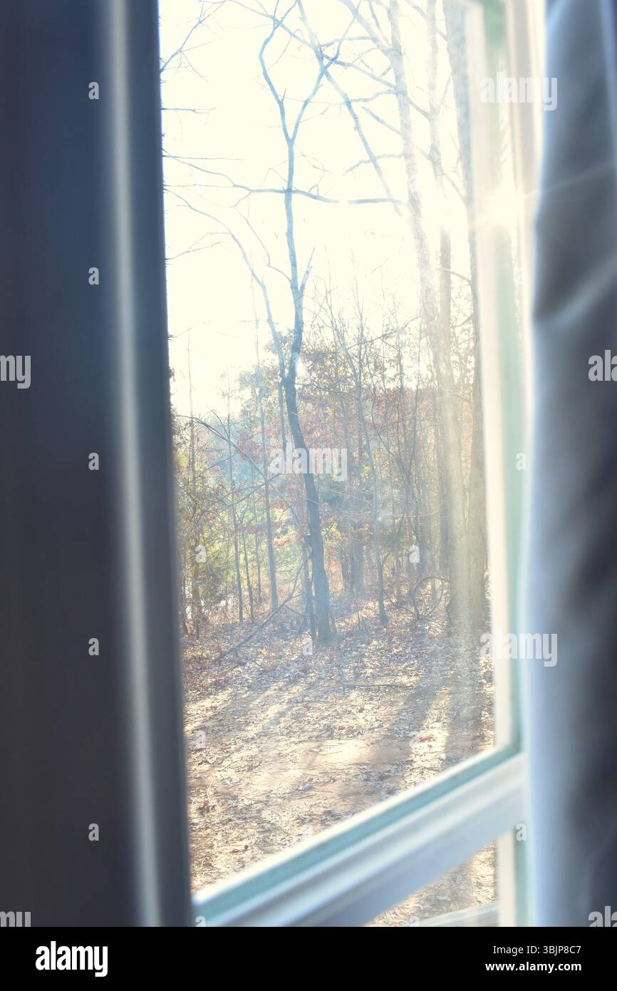 Looking up through translucent hi-res stock photography and images - Alamy