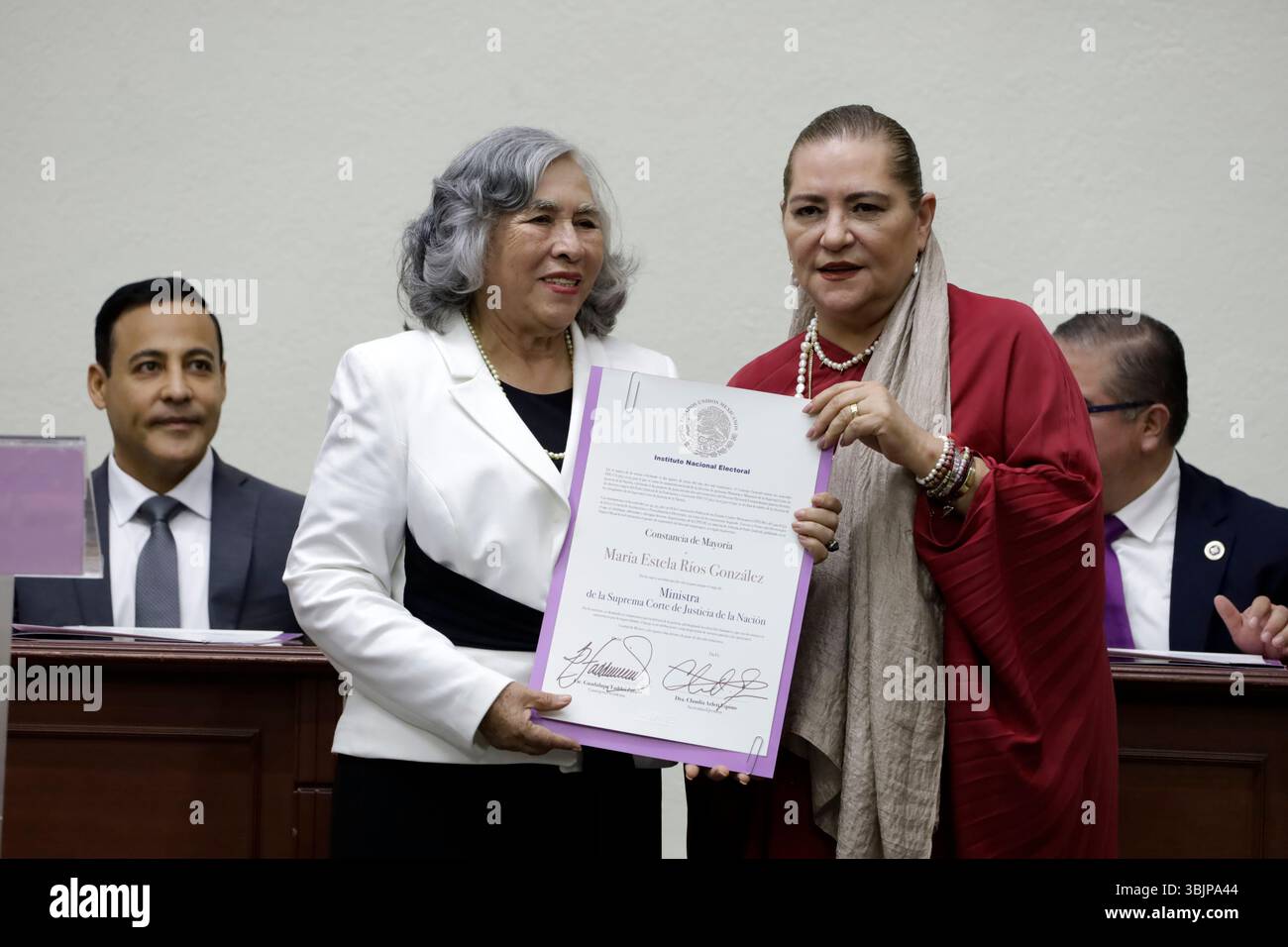 Mexico City, Mexico. 15th June, 2025. Maria Estela Rios Gonzalez ...