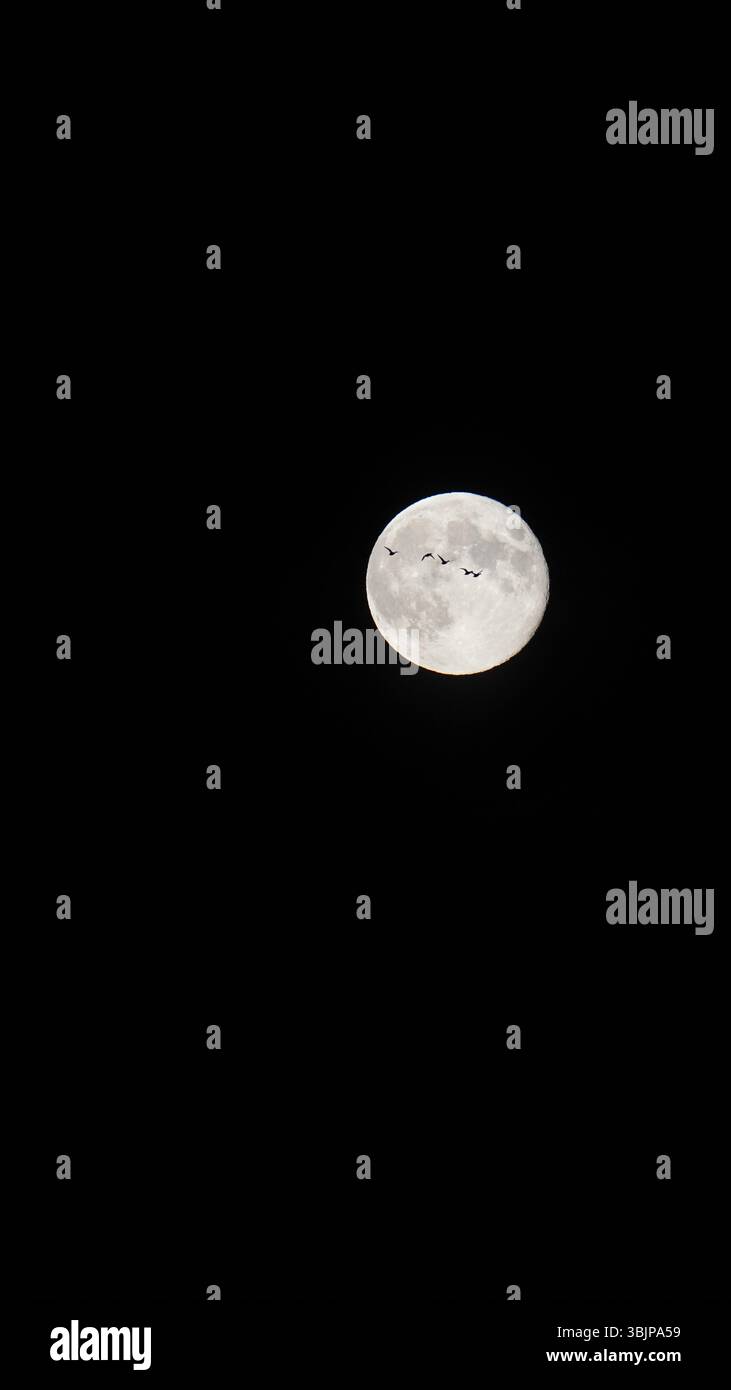 Bathed in moonlight hi-res stock photography and images - Alamy