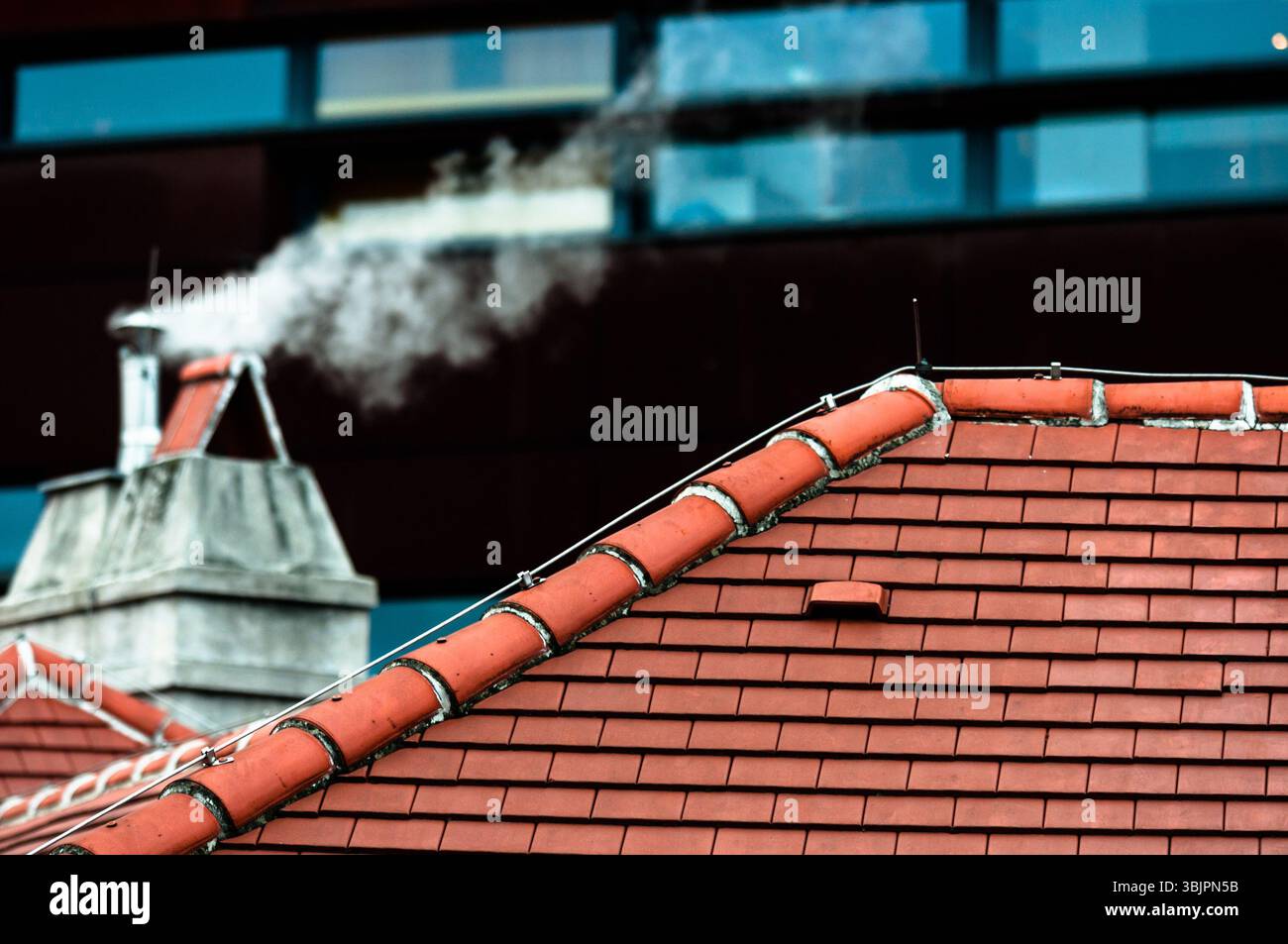 White background small house hi-res stock photography and images - Alamy