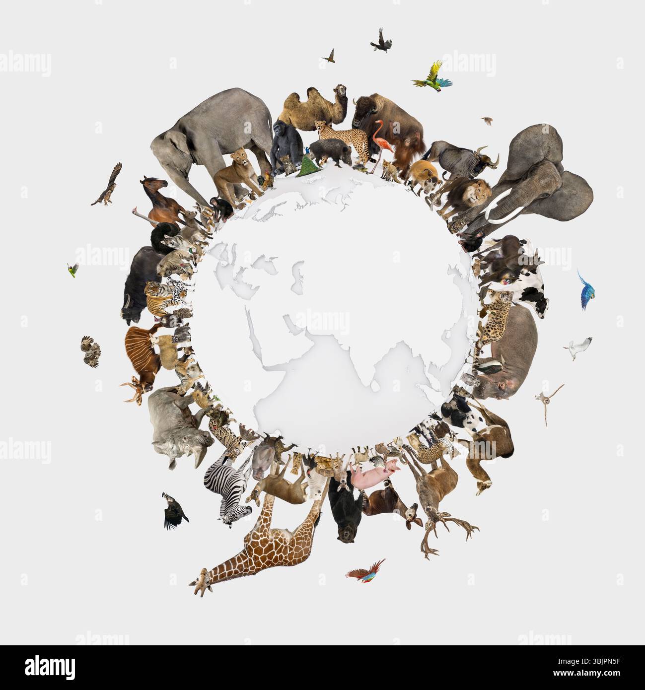 Diverse wild animals encircling earth globe symbolizing global wildlife ...