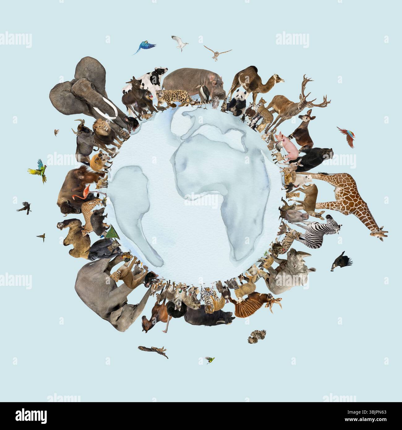 Diverse animals encircling watercolor earth, symbolizing global biodiversity and the importance ...