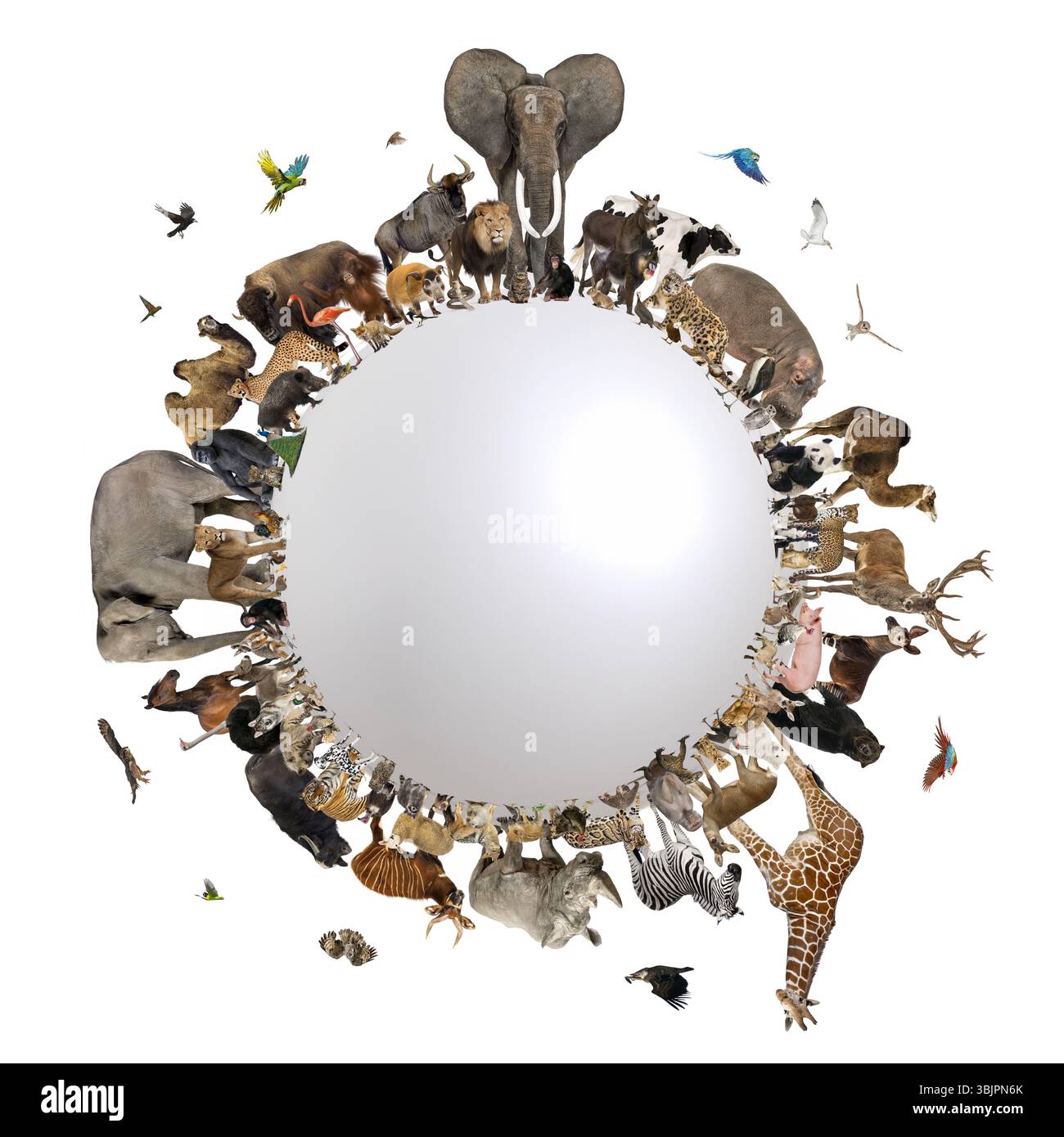 Biodiversity conservation center Cut Out Stock Images & Pictures - Alamy