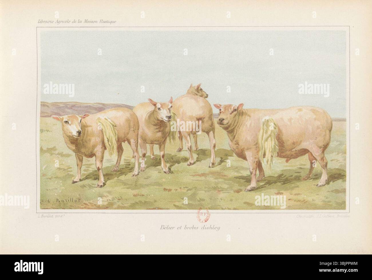 L Barillot Dishley Stock Photo - Alamy