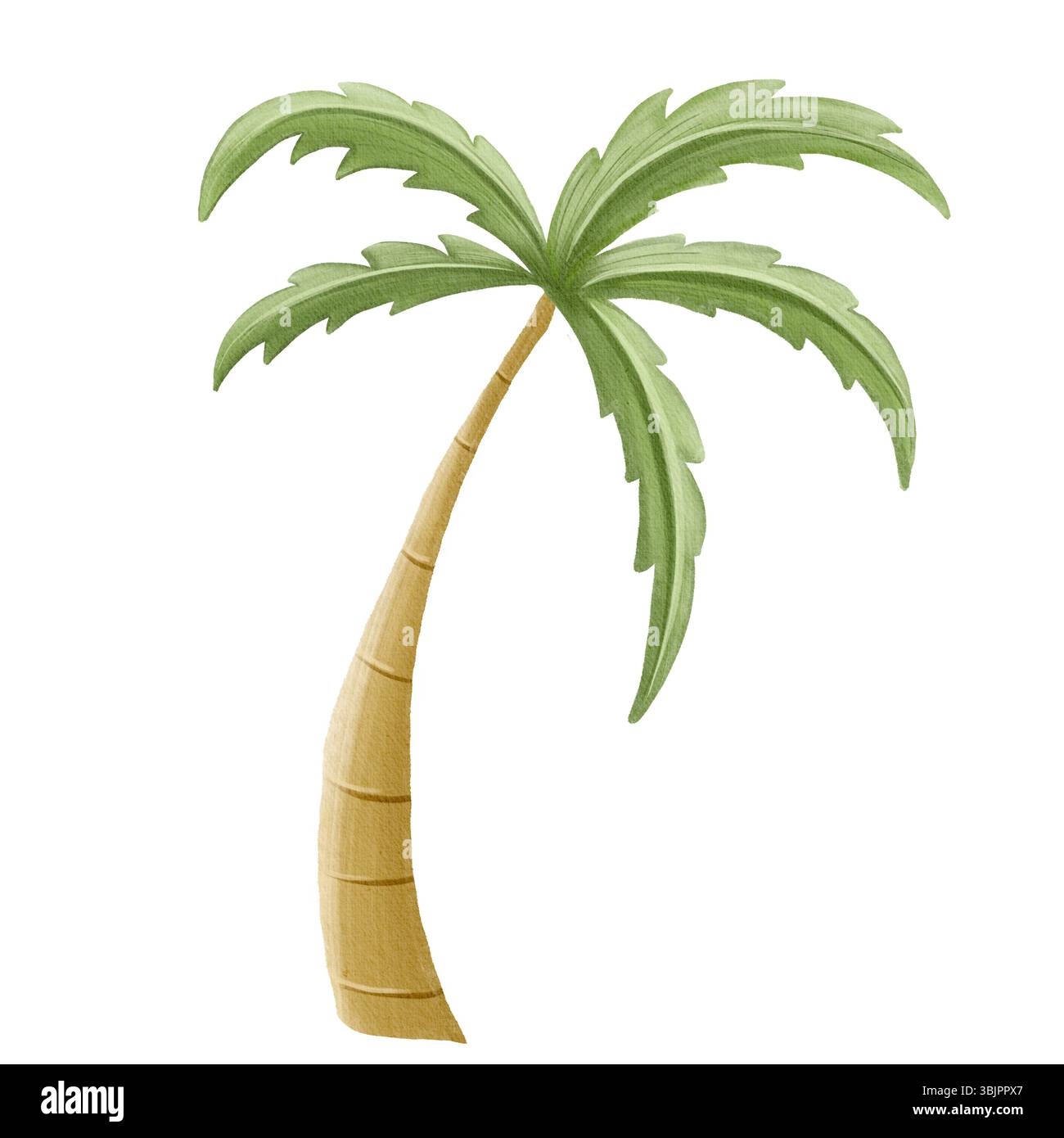 Bamboo forest palm tree Cut Out Stock Images & Pictures - Alamy