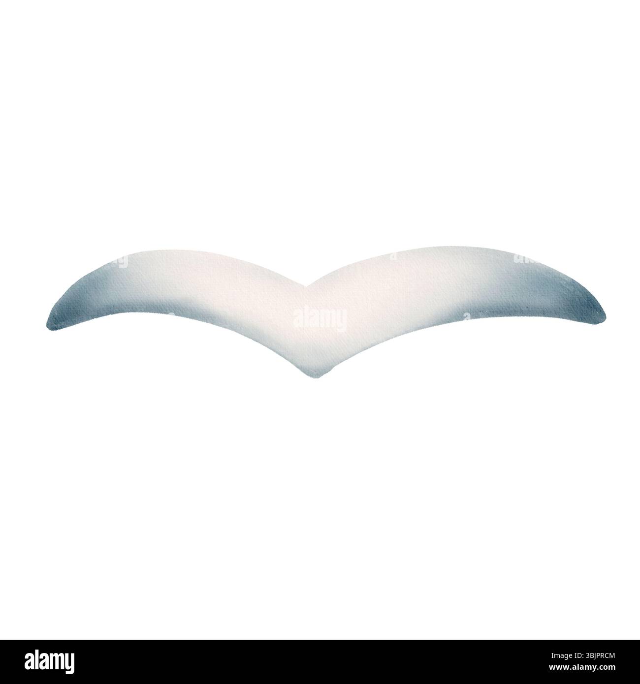 Nautical hand drawn vector Cut Out Stock Images & Pictures - Alamy