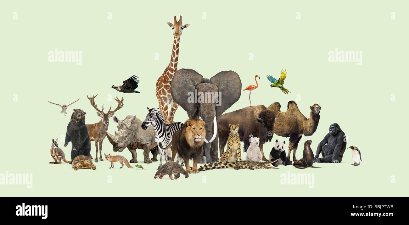 Diverse animals including mammals, birds, and reptiles are gathered ...