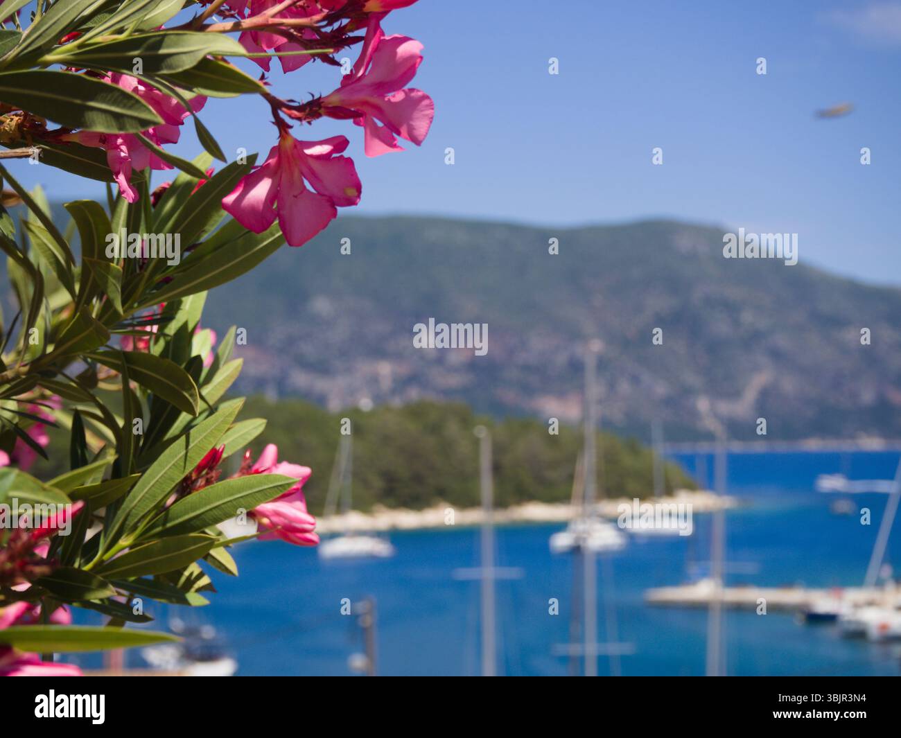 Romantic pink scene sea boats hi-res stock photography and images - Alamy