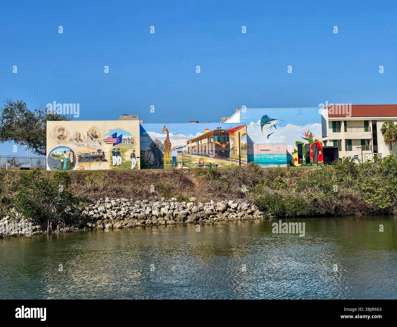 Cruising in the park smartphone stock photos and images - Alamy