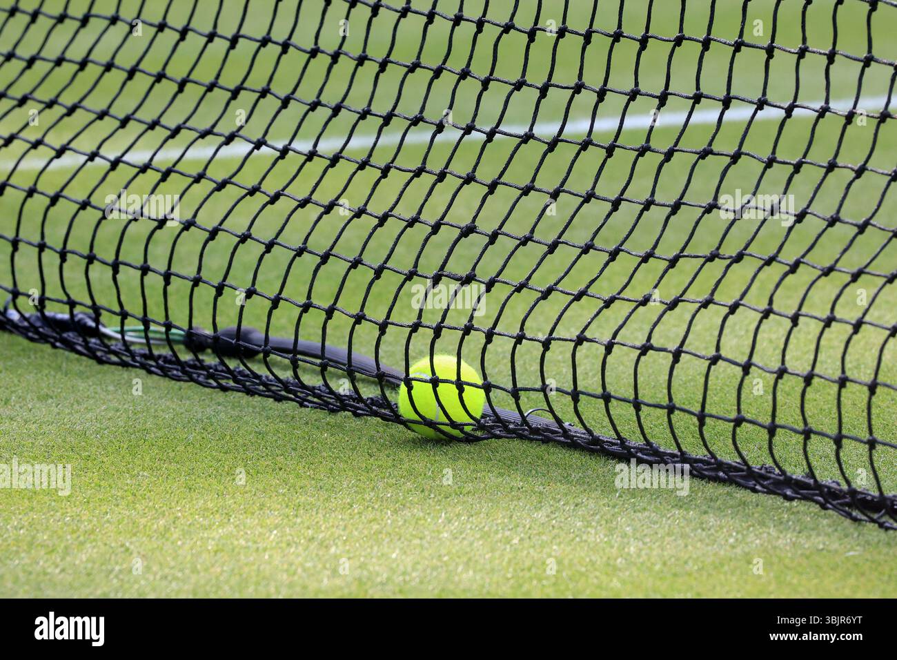 Berlin, Deutschland. 16th June, 2025. 16.06.2025, Rot-Weiss ...