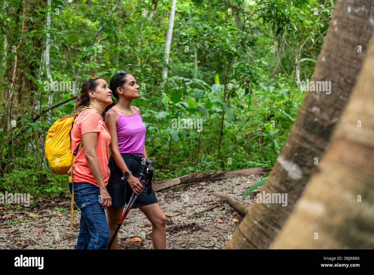 Two woman trekking in tropical rainforest, Metropolitan Natural Park ...