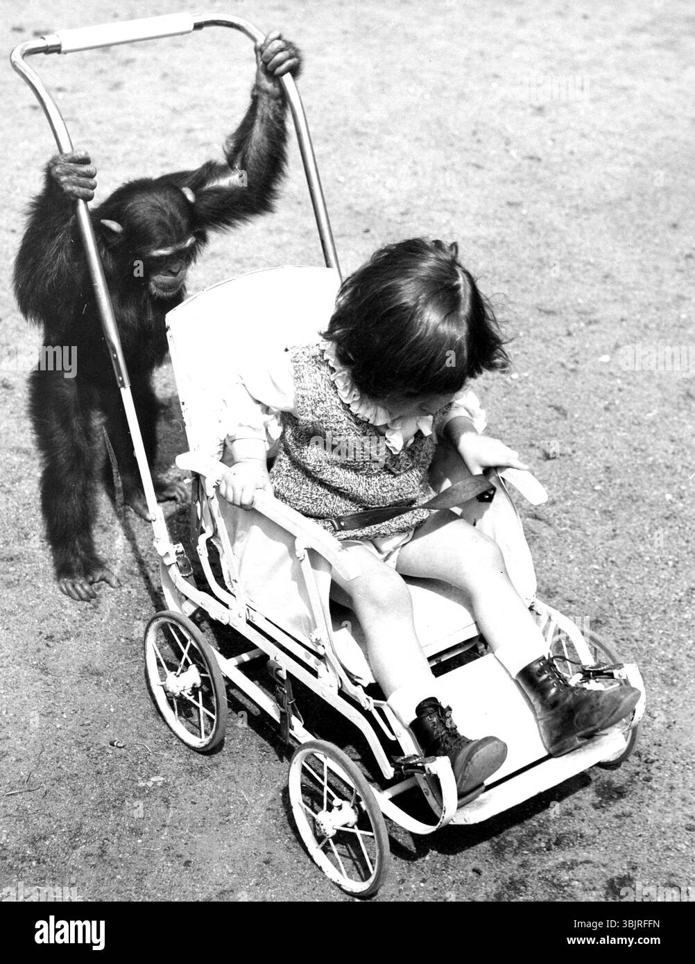 The ape and the child Black and White Stock Photos & Images - Alamy