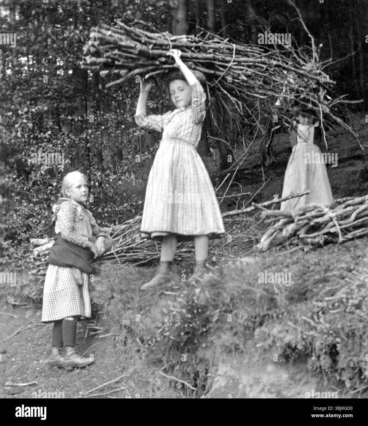Three children fetching wood from the forest, 1920s, Girls in the ...