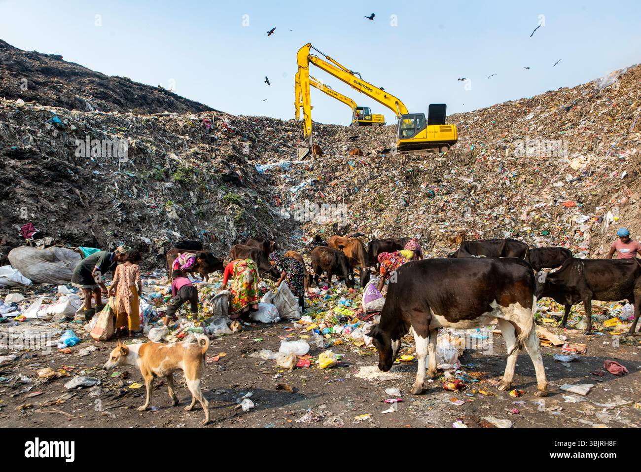 Big mixed rubbish dump and blue sky. Garbage Mountain. Garbage pile in ...