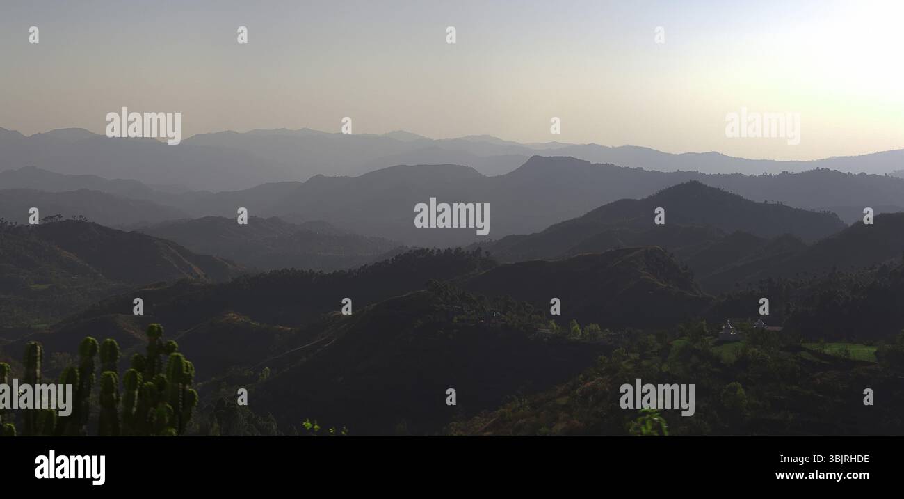Beautiful forested mountain scenery with evening mountains, prickly ...