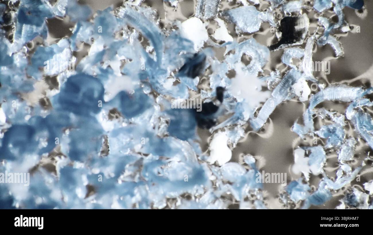 Small particles of plastic stick together in water in fragile fields ...