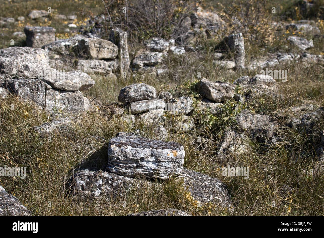 Ancient Greek Polis (Greek colonization) and Greek-Scythian settlements ...