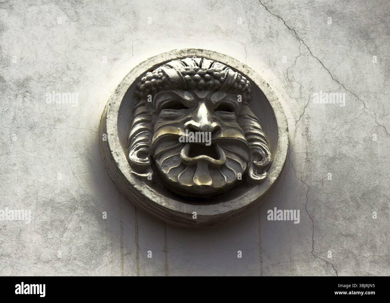 The glyptic, medallions on the buildings for decoration, masverk, stone ...