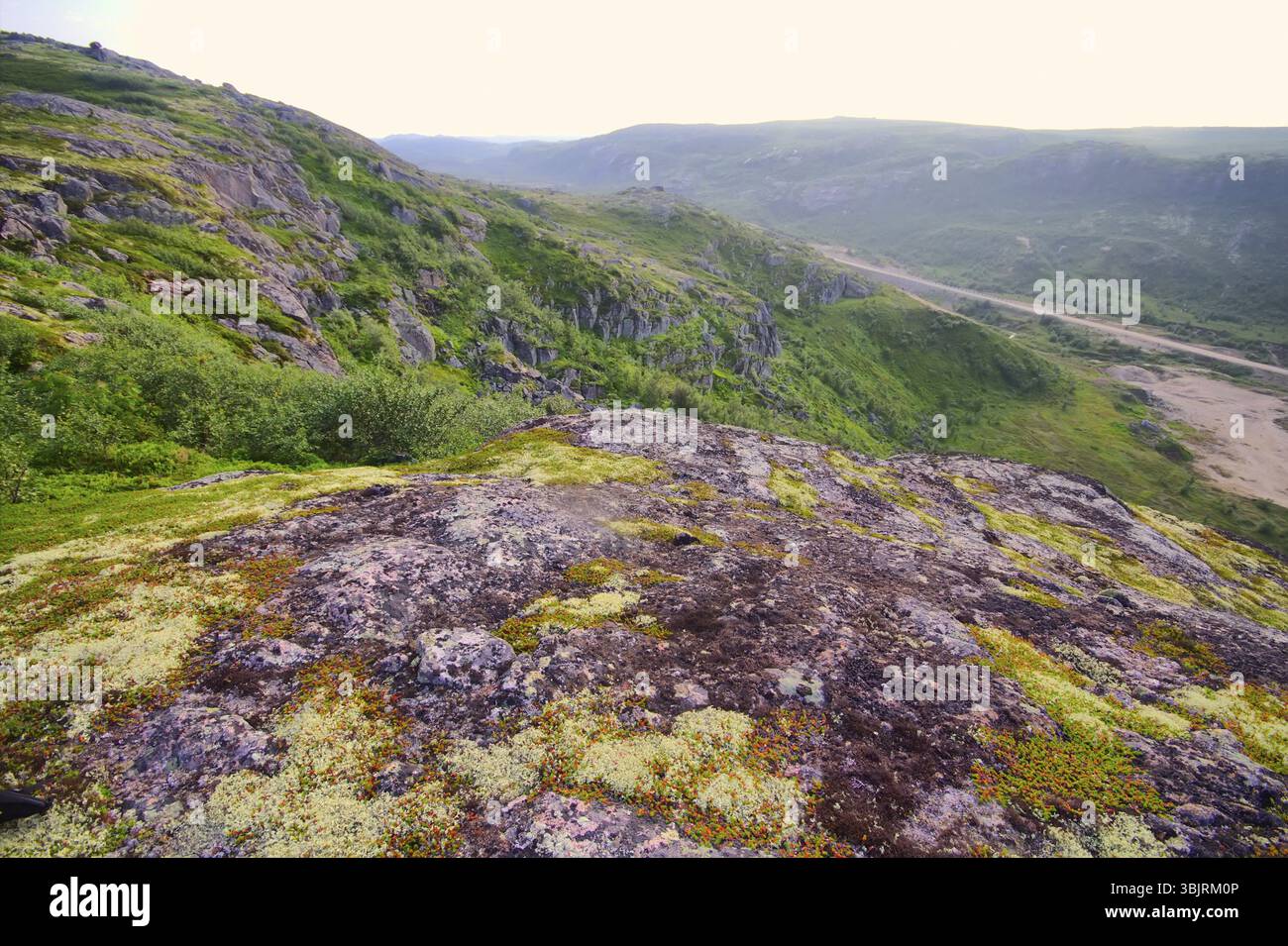 Mountain tundra and forest at bottom of wonderful polar landscape Stock ...