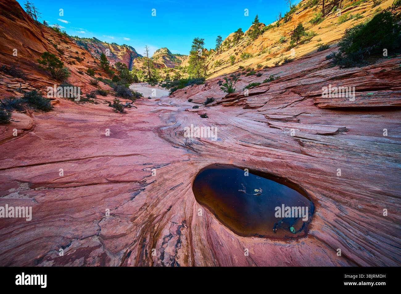 Red Sandstone Canyon Water Pothole and Sunlit Walls Low Perspective ...