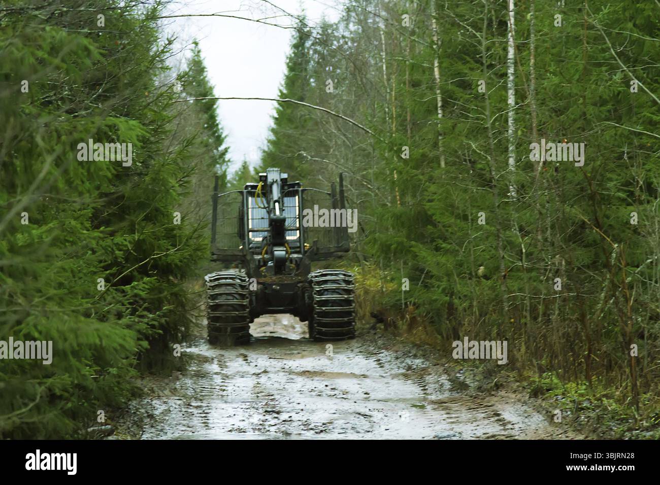 Timber loader tractors lumber hi-res stock photography and images - Alamy