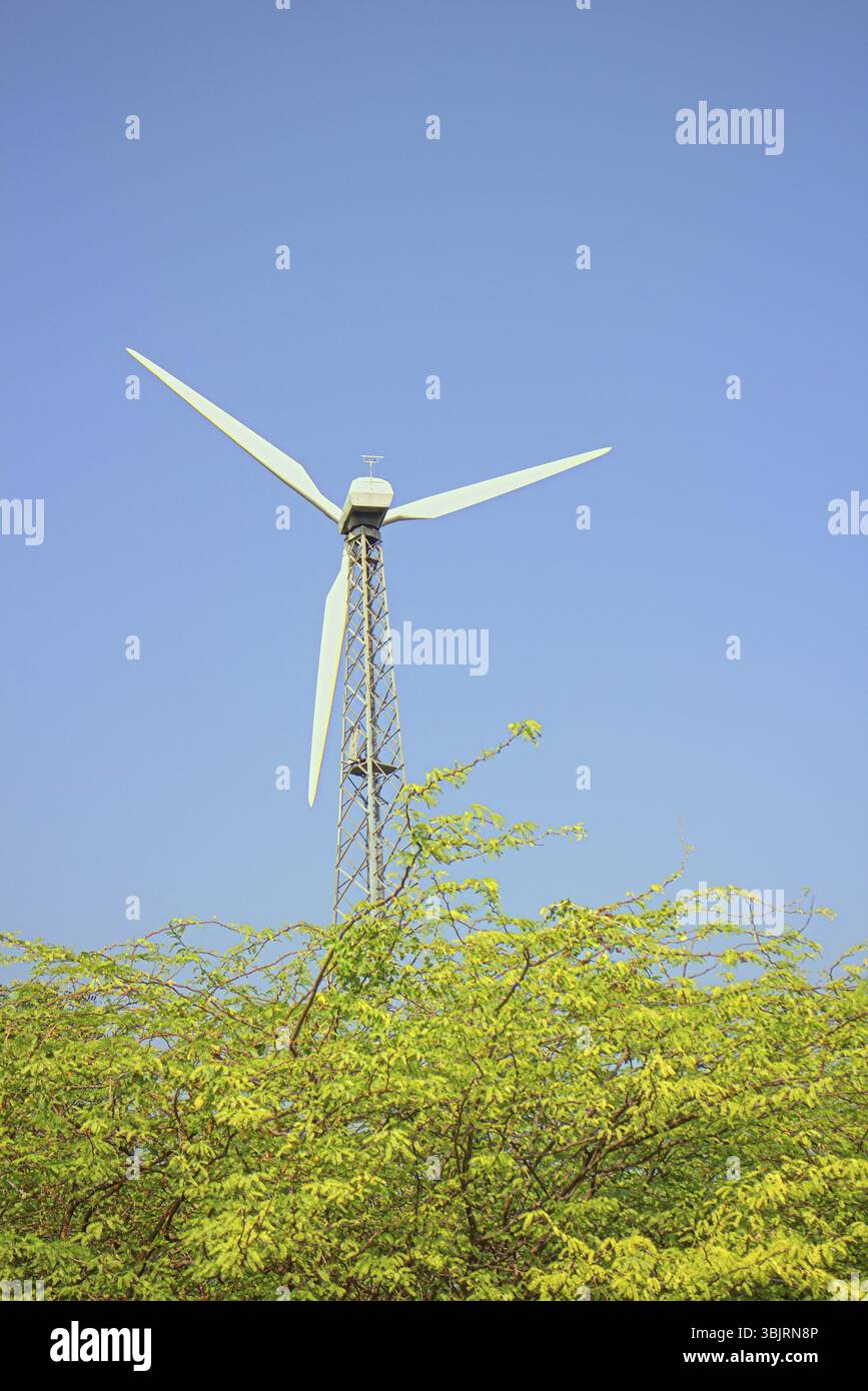 Alternative energy sources 8. Wind farm in Indian province of Kerala ...