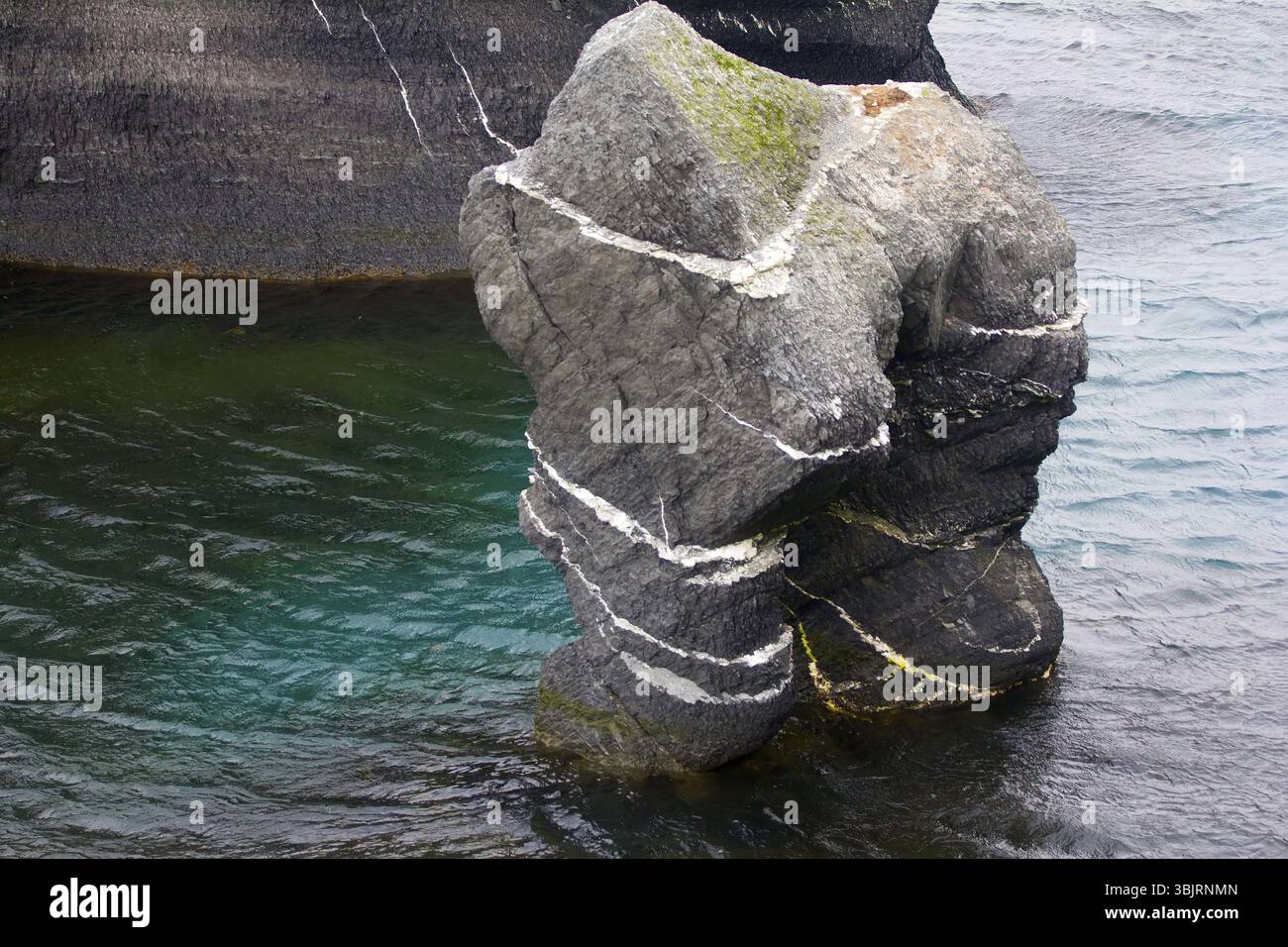 The Arch of Bosch: natural analogue of man-tree with paintings of ...