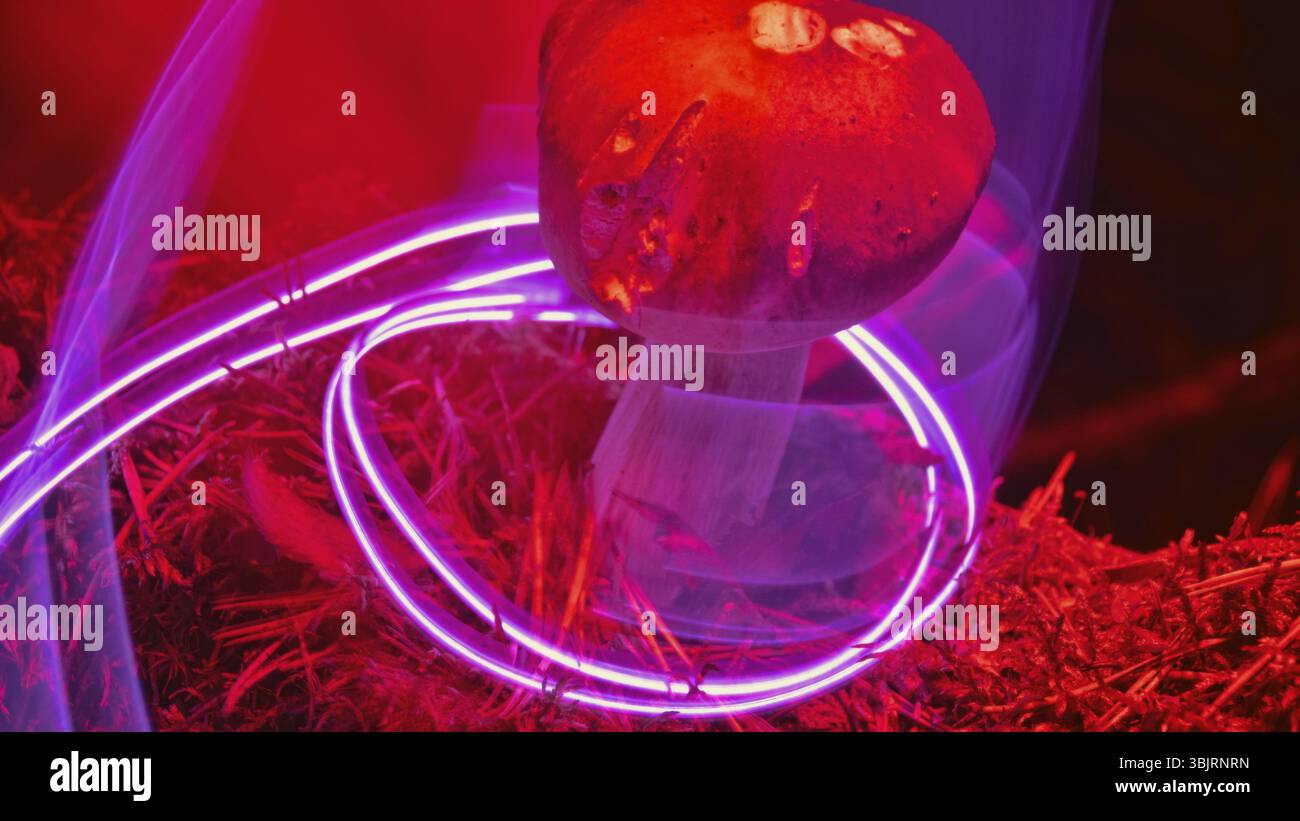 Neon magic mushroom in forest on moss. Psychedelic effects of night ...