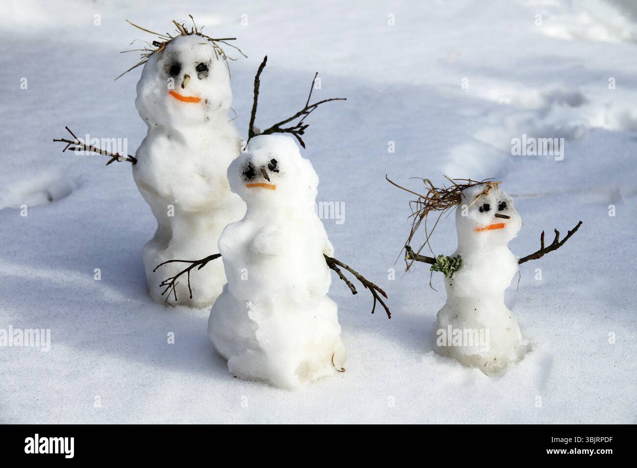 Winter-Spring story of the snowman family snowman-dad, snowman-mom ...