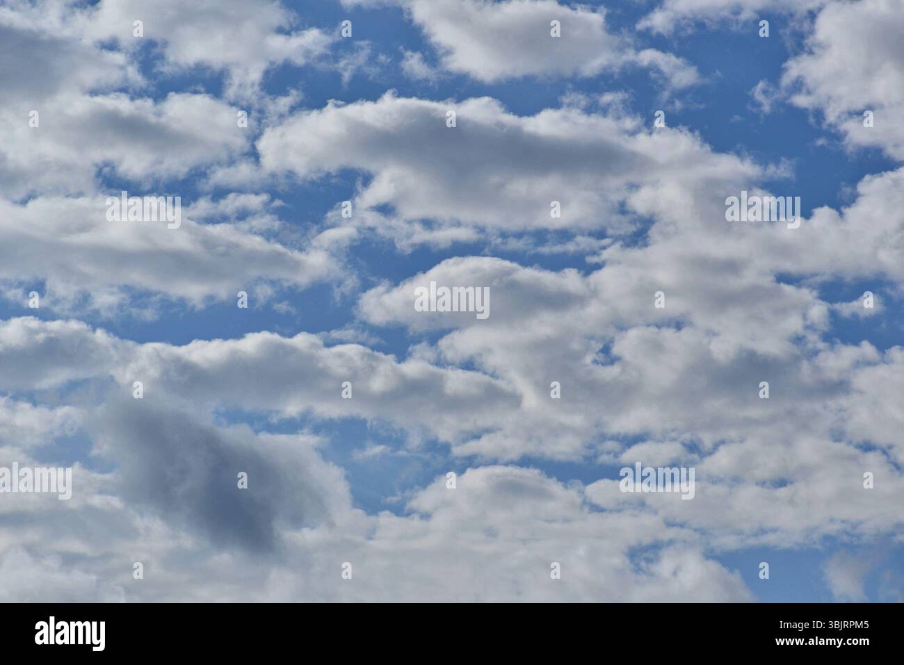 Stratocumulus clouds in the blue sky over the Transylvanian meadows ...