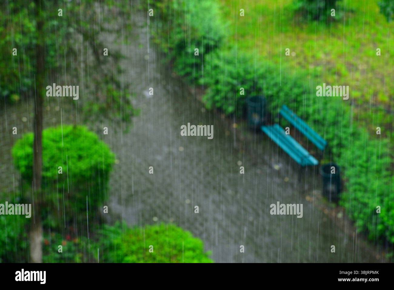 Heavy rain in the garden, all the people have taken shelter from the ...
